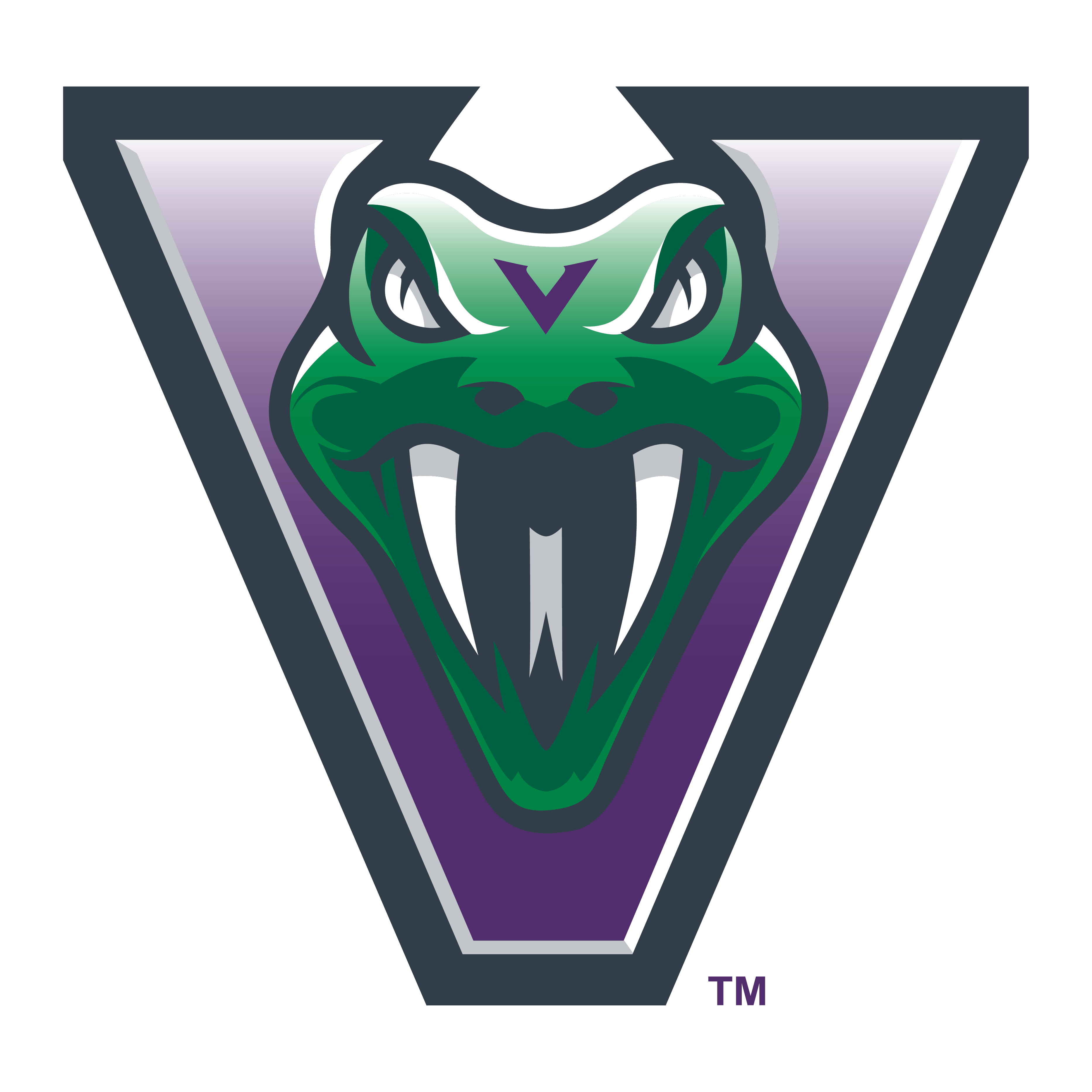 Vanguard Virtual High School – JHA Company