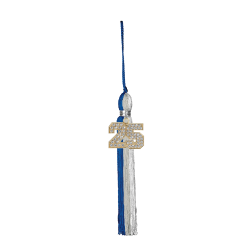 Class of 2025 Mega Bling Tassel | Lebanon High School – JHA Company Shop